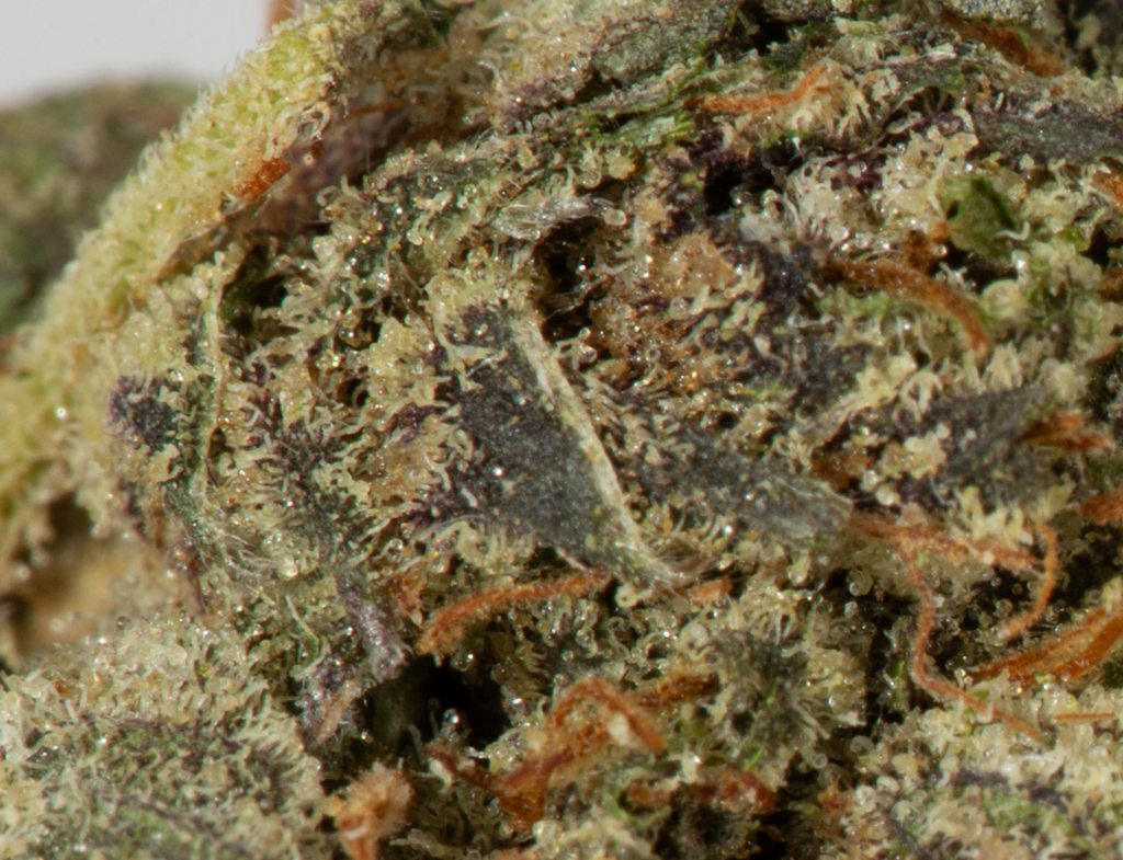 Buy Alpine Royal - Khalifa Mints (Smalls) Online | Weed Dispensary ...