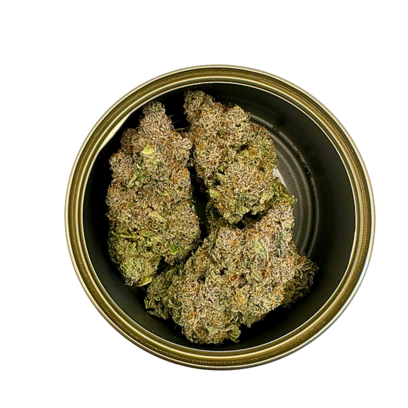 Frost Factory – Cold Cured Quads (14g) – Gummy Shark - Burnaby Buds