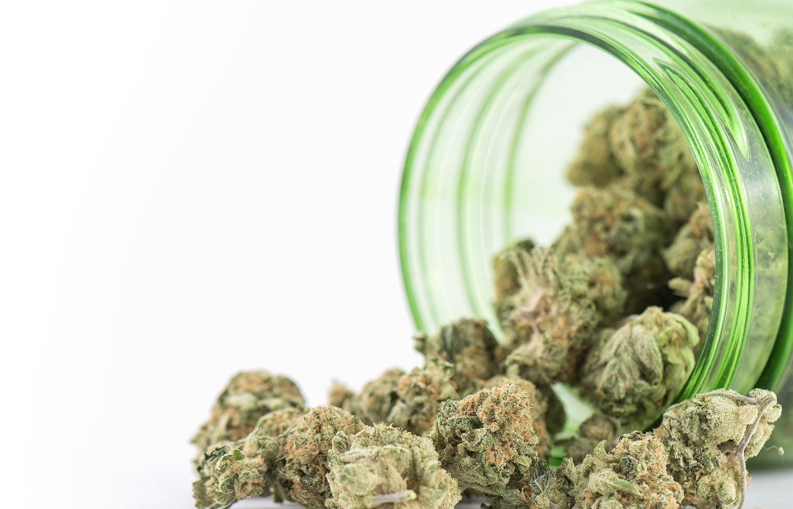 A Beginner's Guide to Cannabis Terminology | BC Bud Express