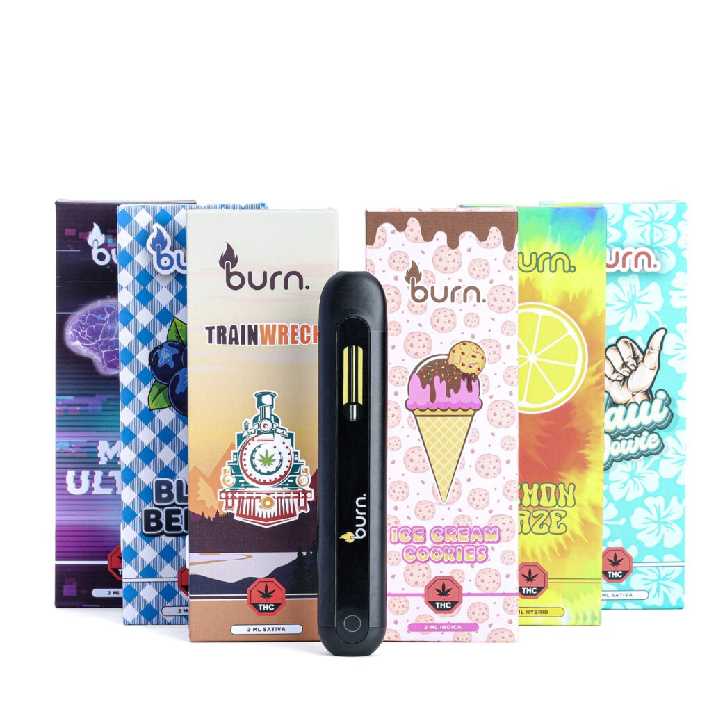 Buy Disposable Vape (Burn Lifestyle Co.) - 2g Distillate | Online ...