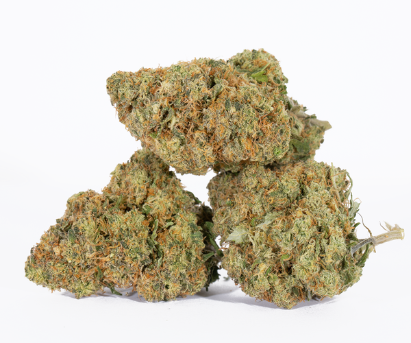 Hybrid Archives - CannaBlossom