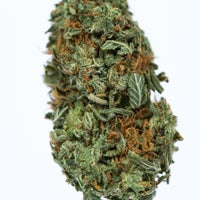 Recon (AA) Strain | Doobdasher - Buy Weed Online in Canada