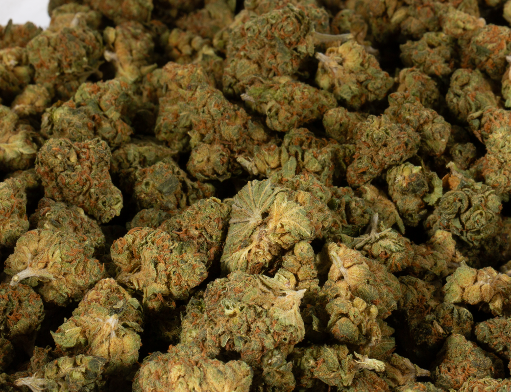 Maui Mango Diesel (AA) | Gold Dreams