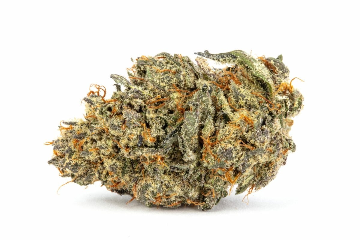 Super Frost Strain | Marijuana Strains | Order Online Today - Healing ...