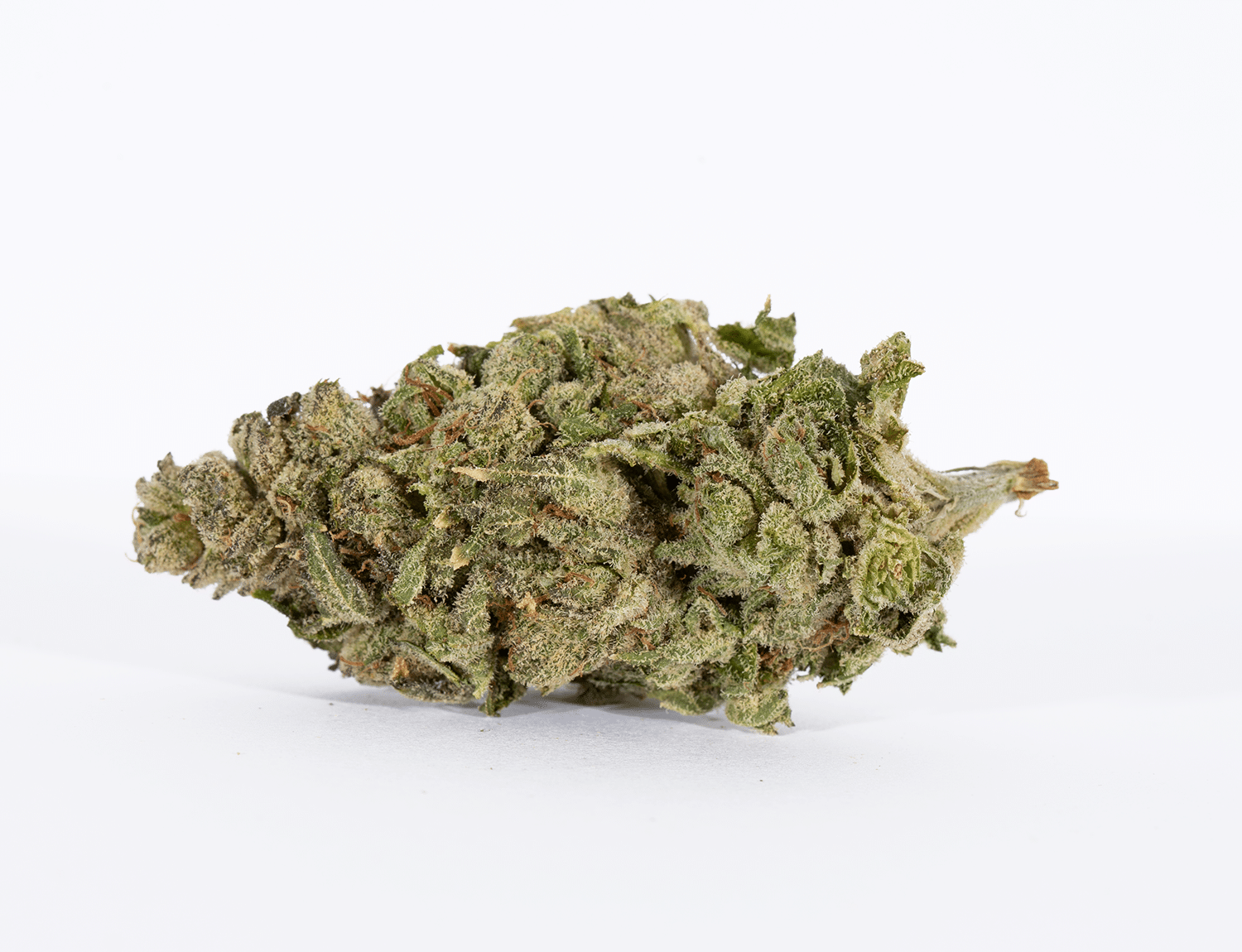 Buy Berner Cookies Online + Free Joint | Online Dispensary Canada