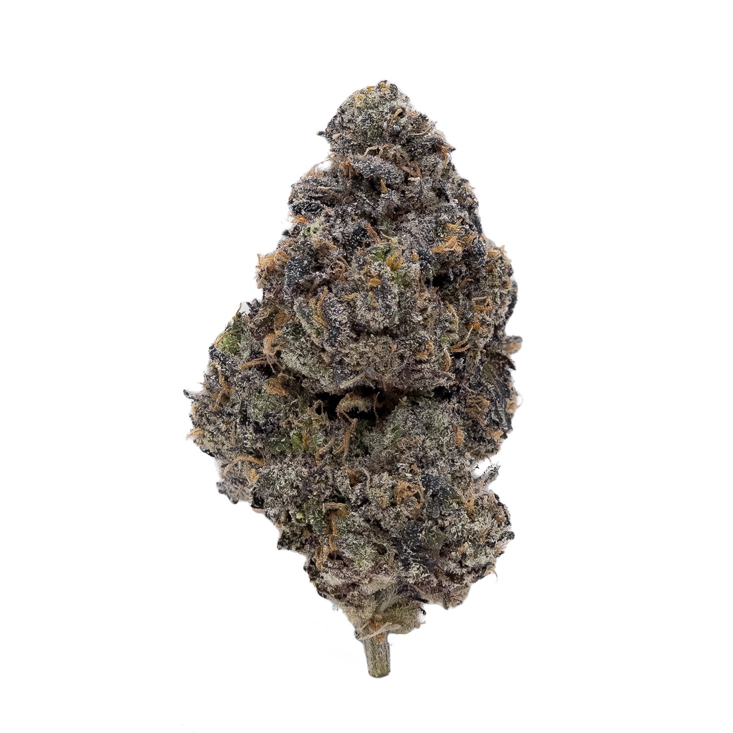 Buy Organic Rainbow Gelato (Oso Fuego) | Online Dispensary | Kootenay ...