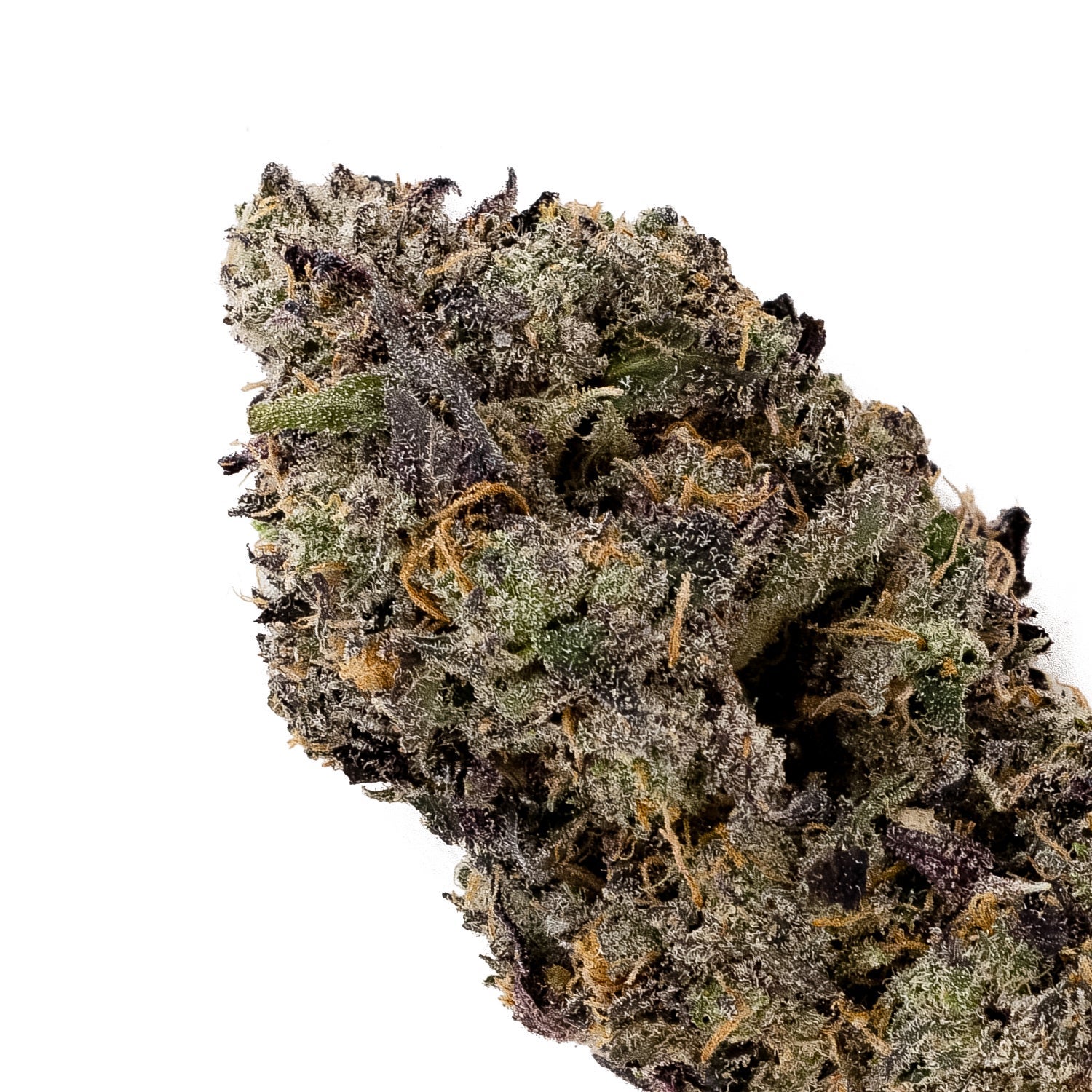 Buy Jungle Ridge - Jurassic Purp | Online Dispensary | Kootenay Botanicals