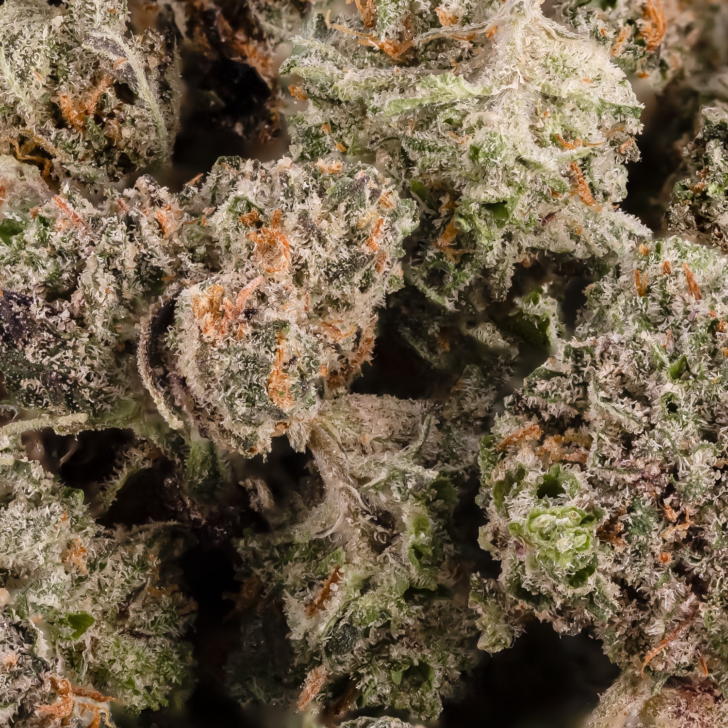 Buy SFV OG (smalls) (Lucky Farms) | Online Dispensary | Kootenay Botanicals