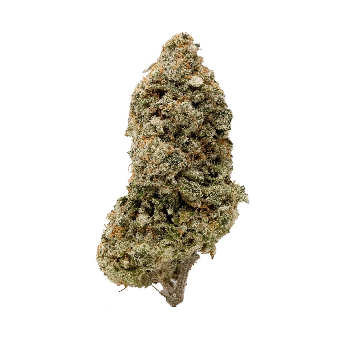 Buy Premium Sativa Online Canada | Pot Cargo