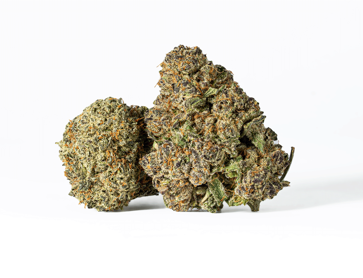 Buy Astral Herbs - Meat Breath Online Canada | Pot Cargo