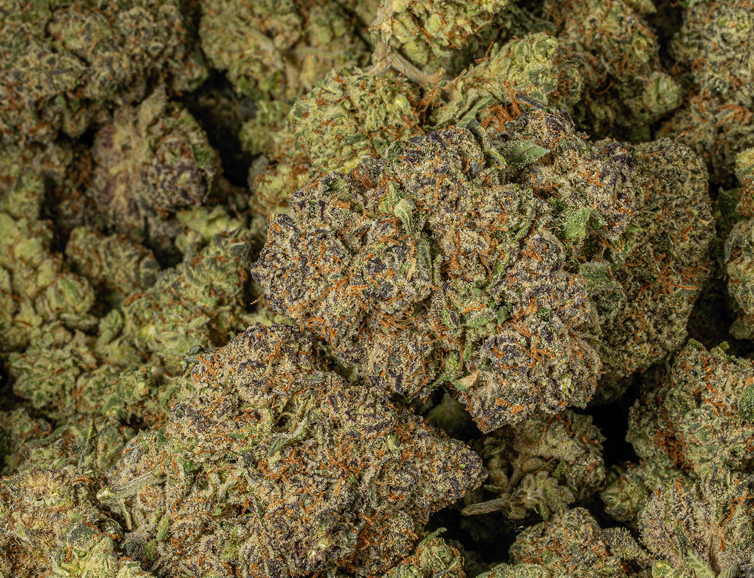 Buy Astral Herbs - Meat Breath Online Canada | Pot Cargo