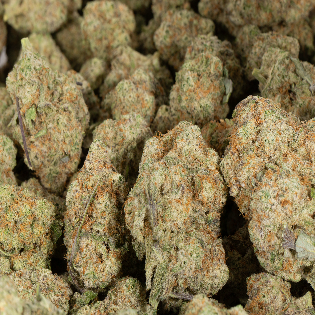 Mac 1 (AAAA) | Balanced Hybrid Strain | Herbs | The Chrono