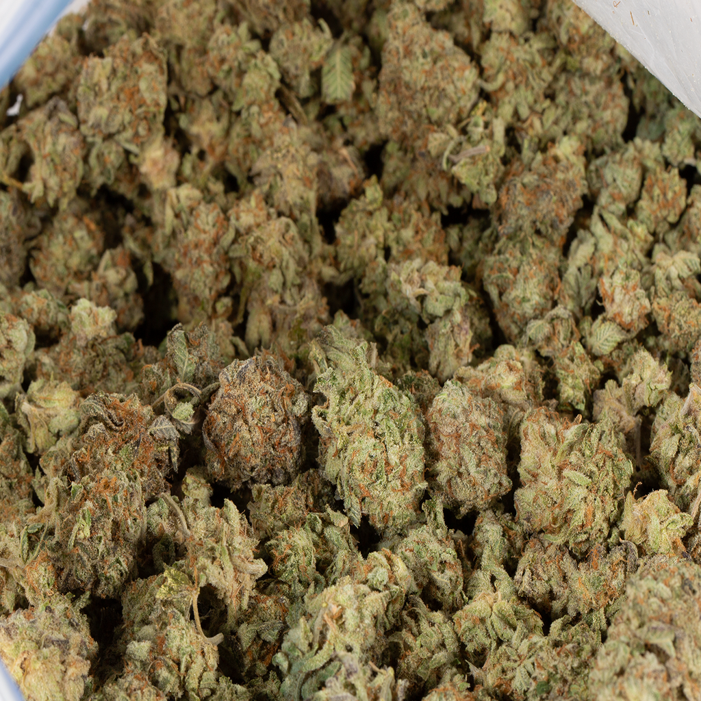 Mandarin Cookies Strain (AA) | Sativa Hybrid Weed | The Chrono Canada