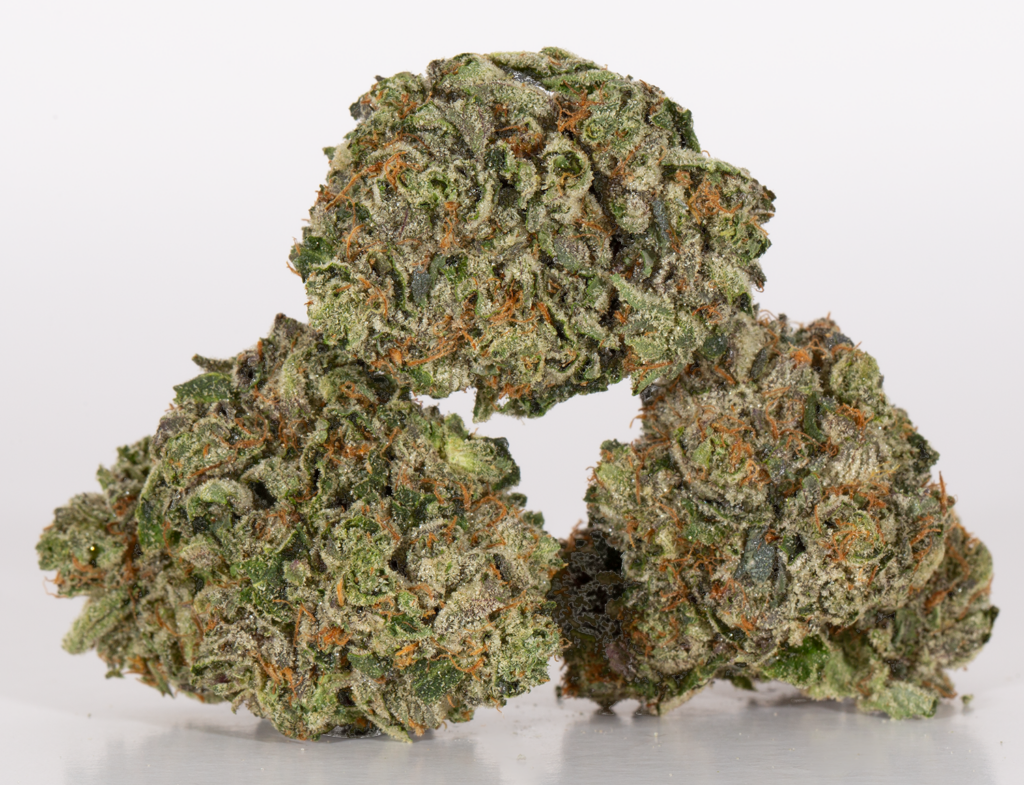 Buy Pink Panther Strain | Best Sativa Weed | The Chrono Canada