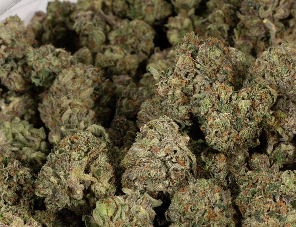 Buy Pink Panther Strain | Best Sativa Weed | The Chrono Canada