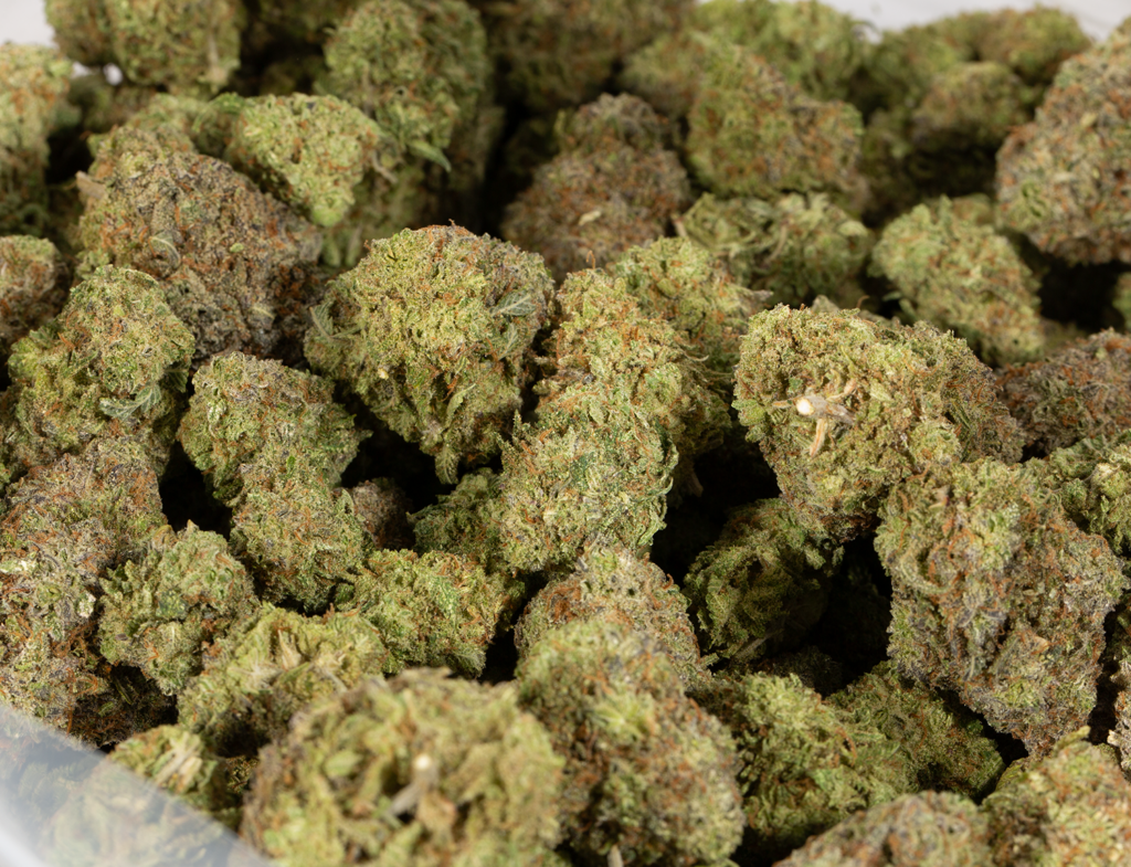 Buy Agent Orange (AAA) Strain In Canada - The Chrono