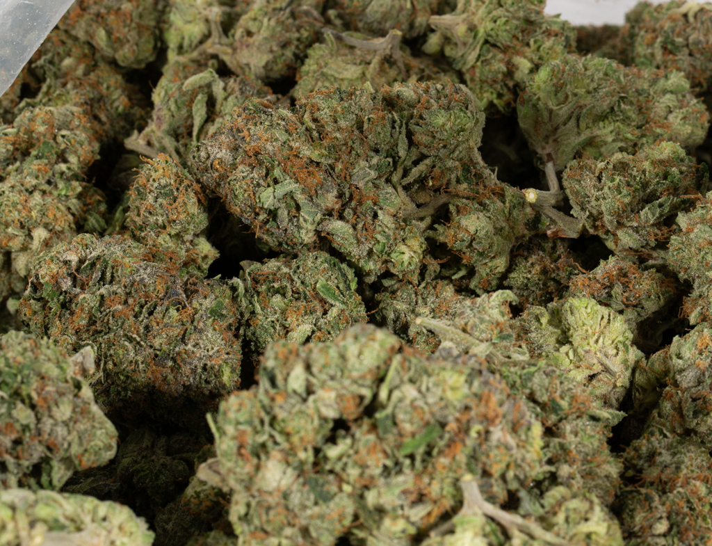 Alpine Royal - El Chapo - The Chrono Canada