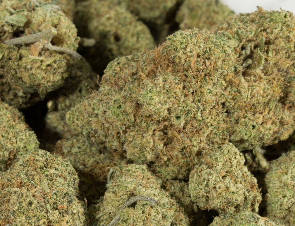 Buy Rocket Fuel Marijuana Strain (AAA+) | The Chrono Canada