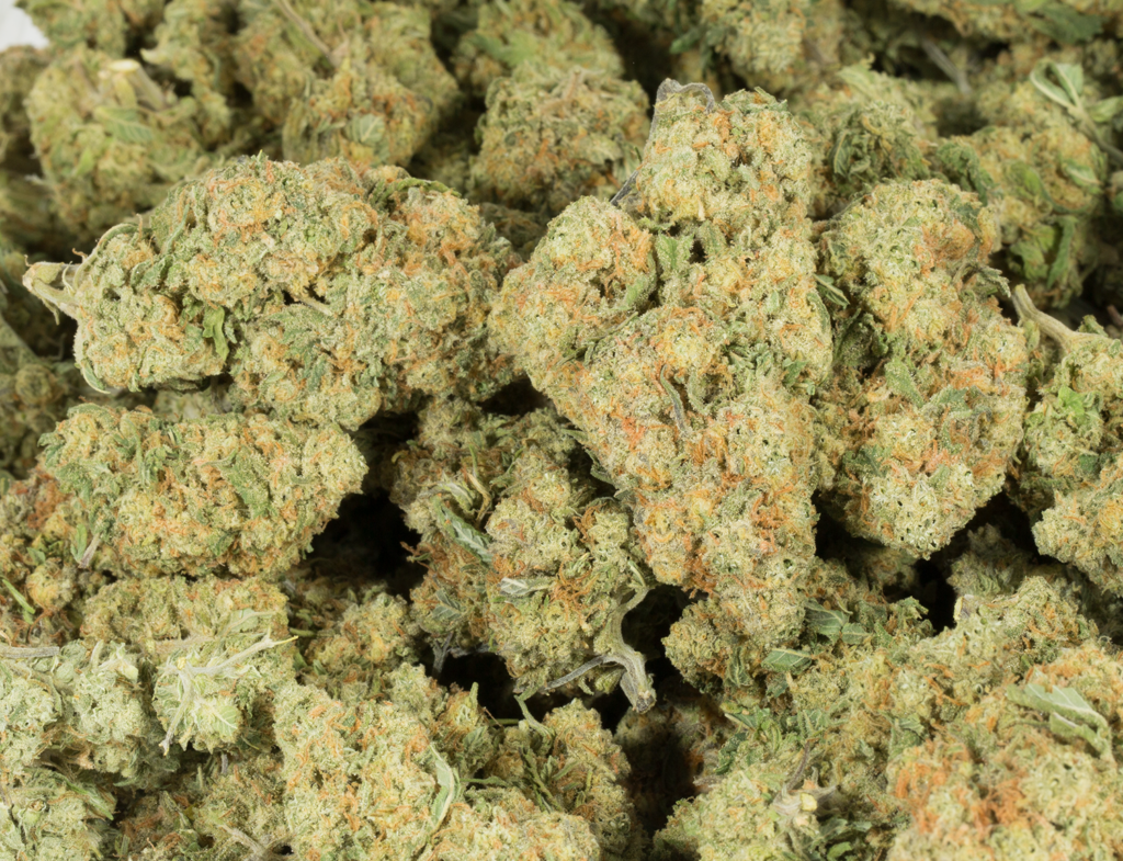 Buy Space Jam Strain (AA+) - The Chrono Canada