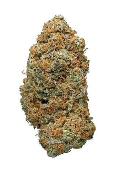 Buy Critical Plus Online Canada | The Grow House