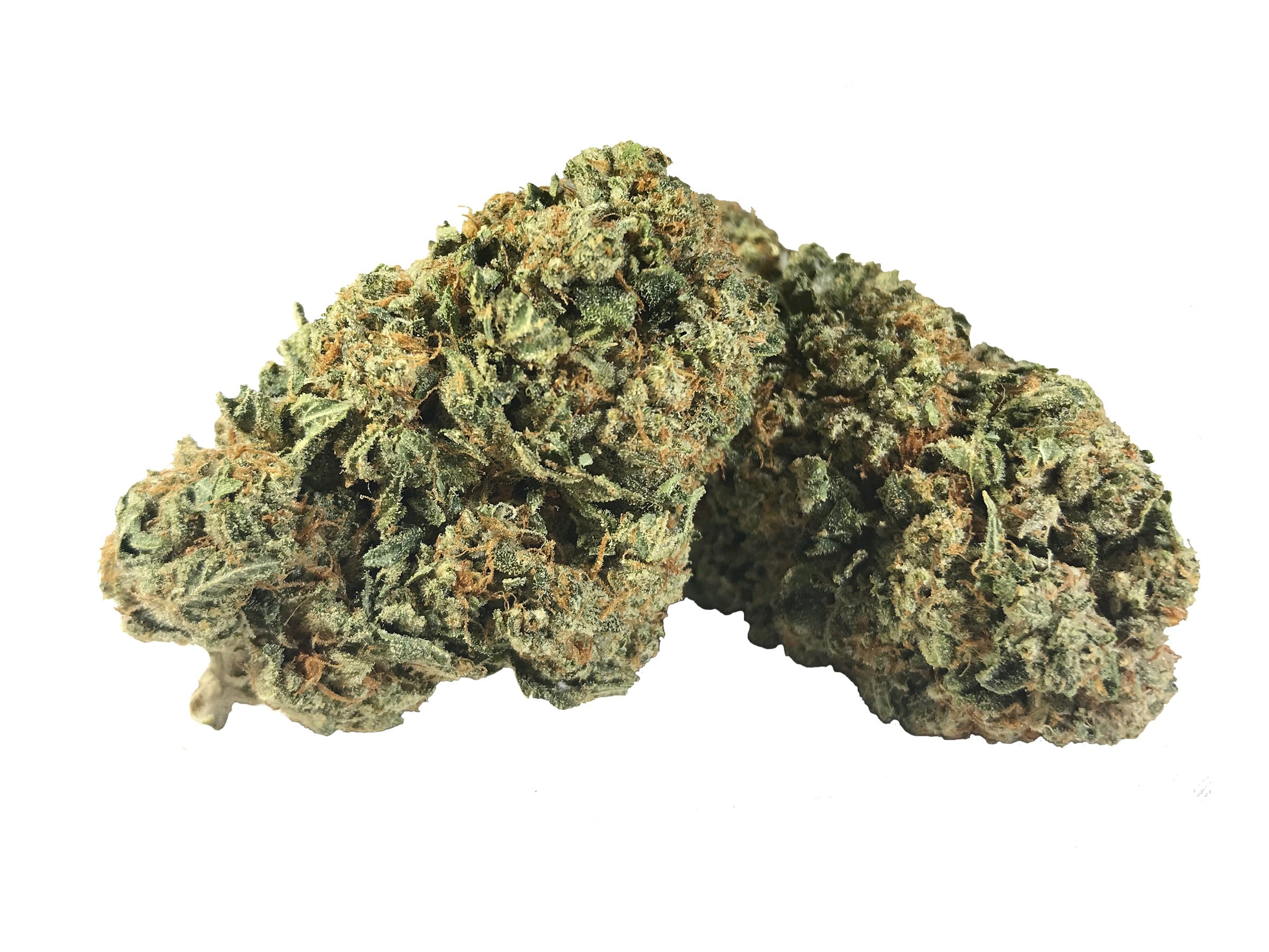 Buy White Fire OG (WIFI) Online Canada | The Grow House