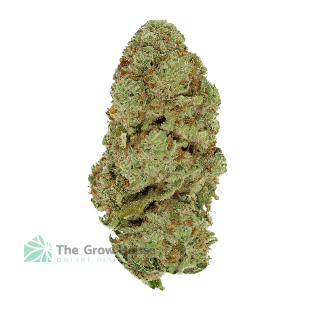Buy 1 Ounce Deal: AAAA El Chapo ⛽ Online Canada | The Grow House