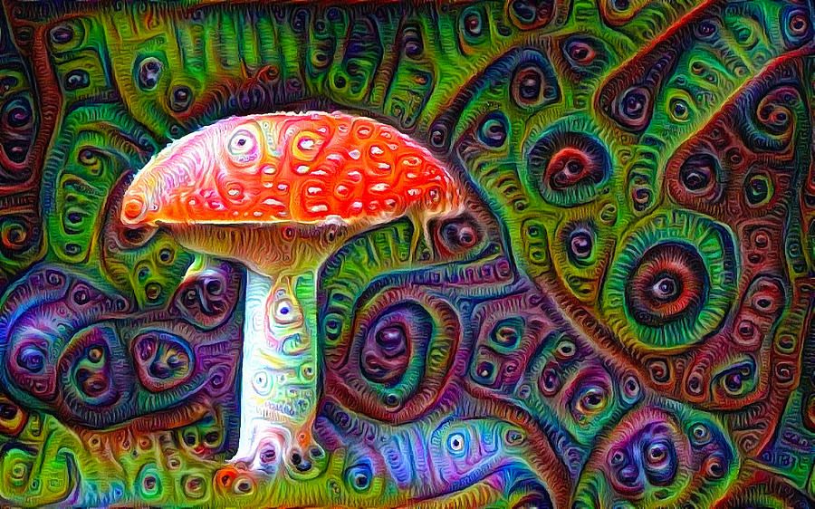 A Comprehensive Guide: Safely Navigating a Magic Mushroom Trip