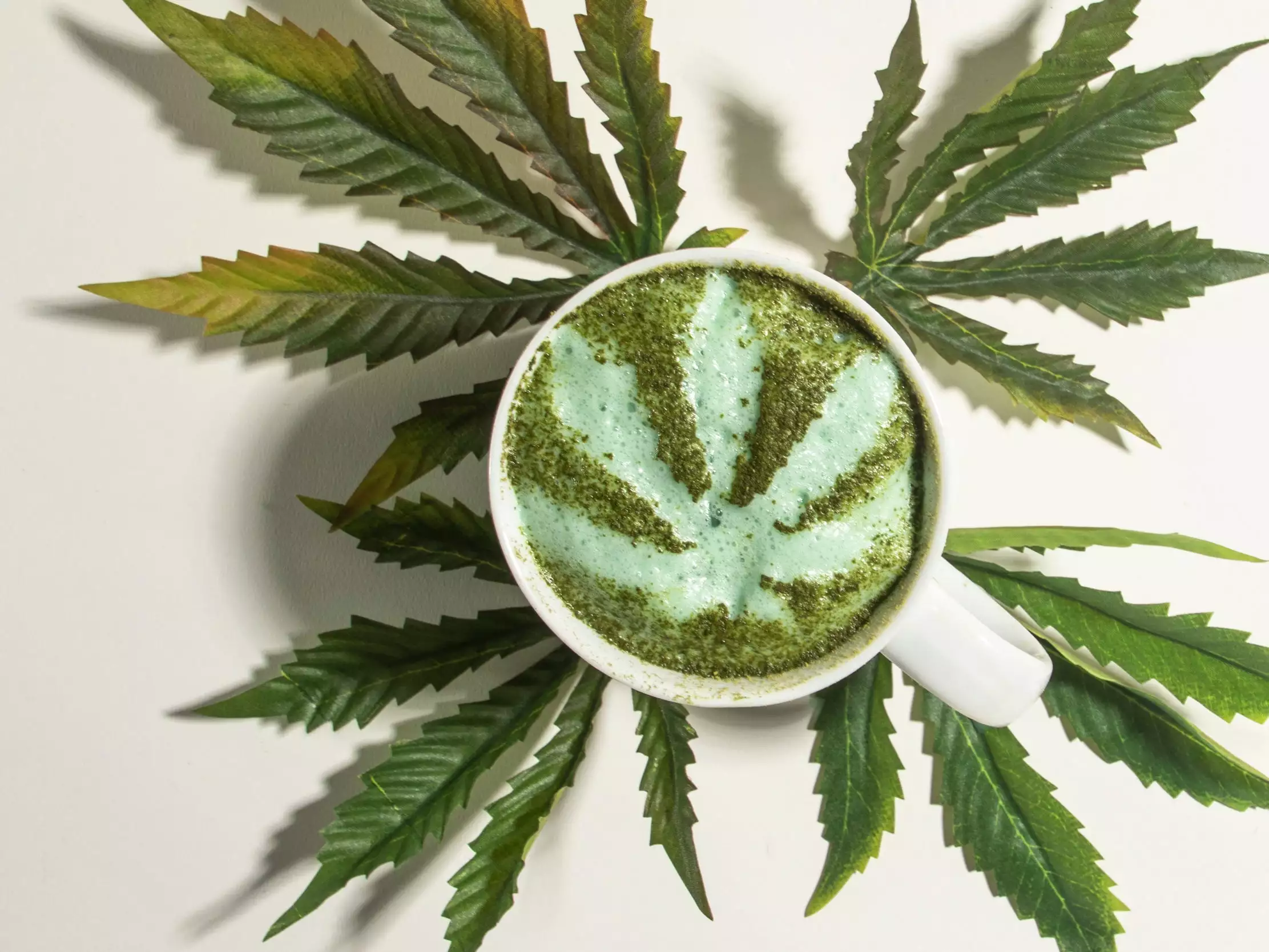 Unveiling the Modern Cannabis Culture Evolution