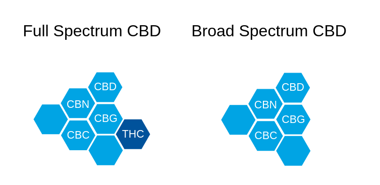 Choosing the Perfect CBD: Broad-Spectrum vs. Full-Spectrum vs. Isolate