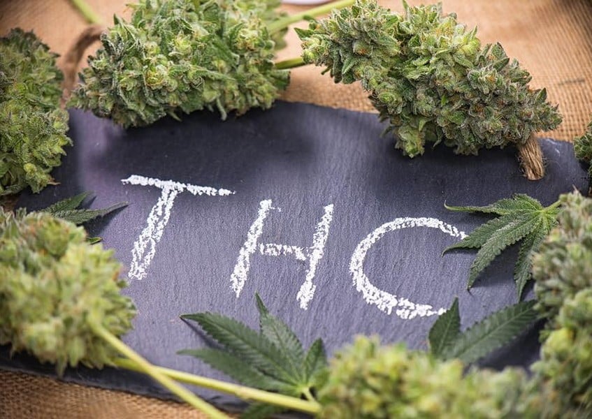Neuroscience Unveiled: The Complexities of THC Effects