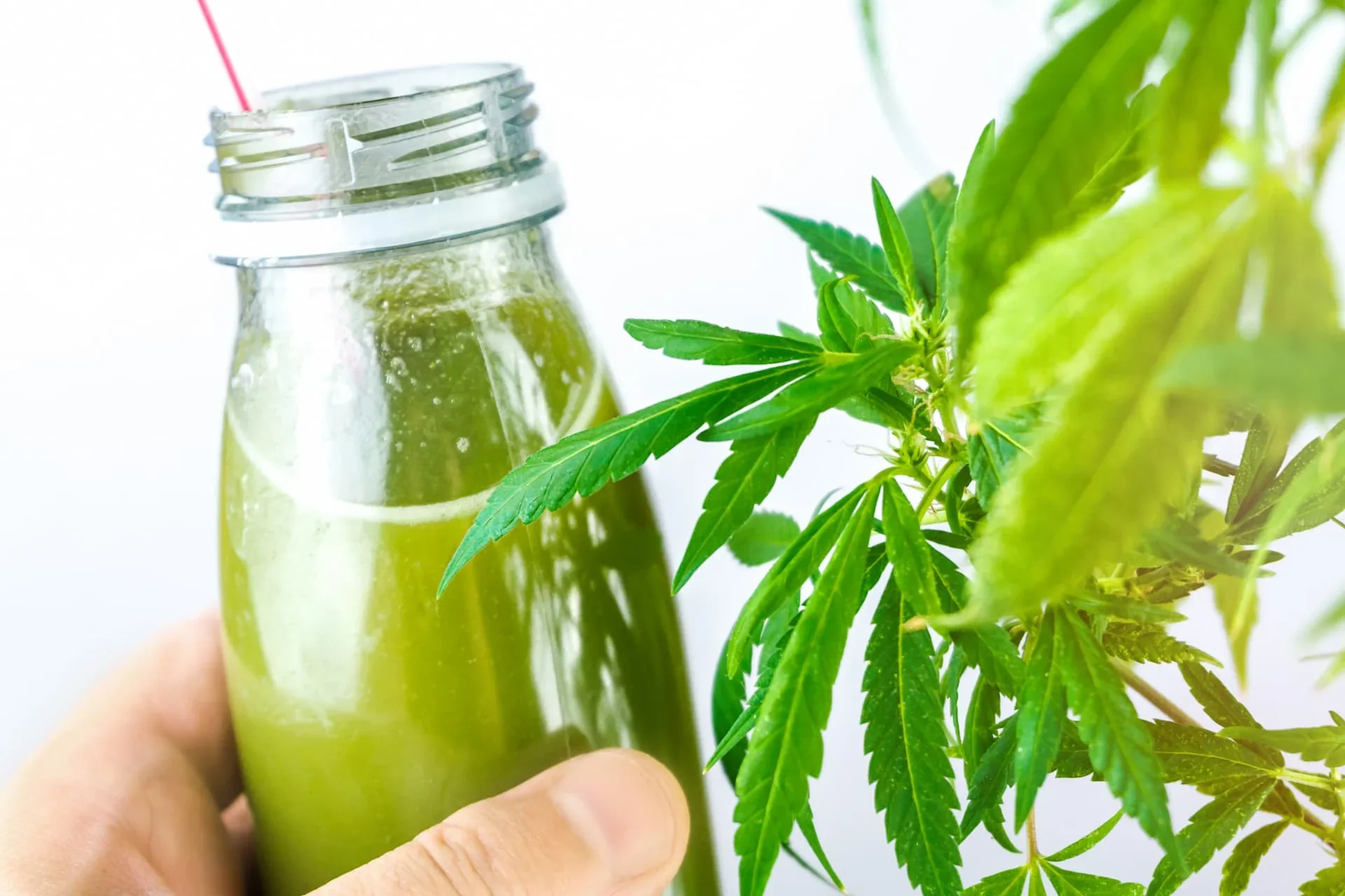 CBD Drinks: A Refreshing Way to Unwind and Recharge
