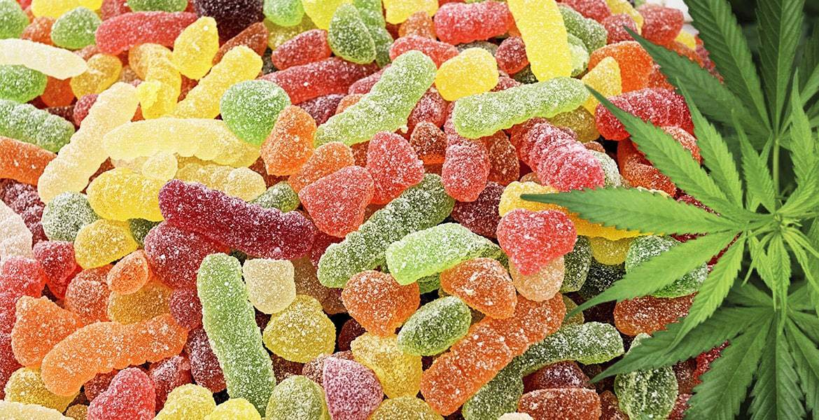 Cannabis in the Kitchen: Mastering Creative Edible Products for Cooking