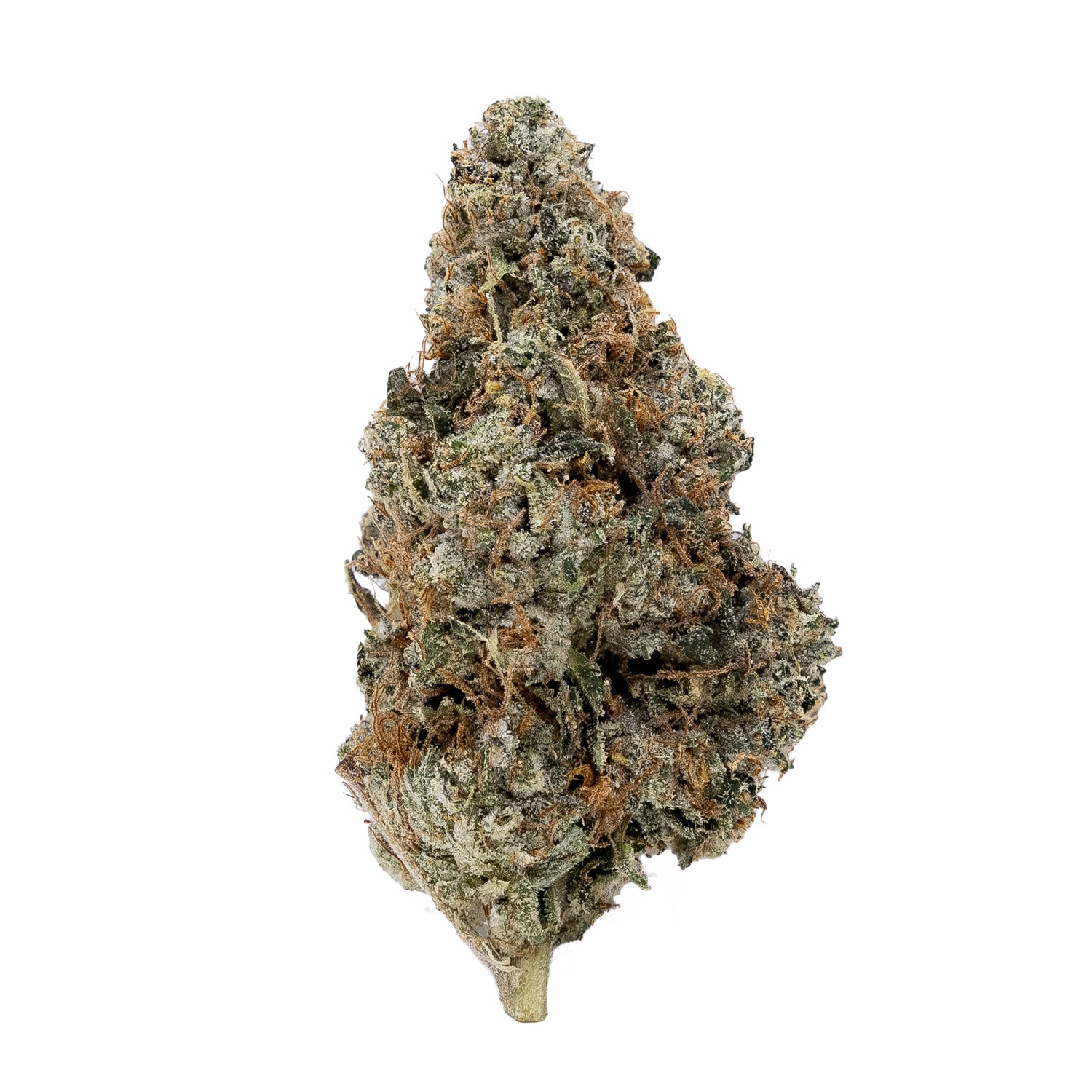 Buy Master Kush Strain | Best Deals in Canada | XpressGrass